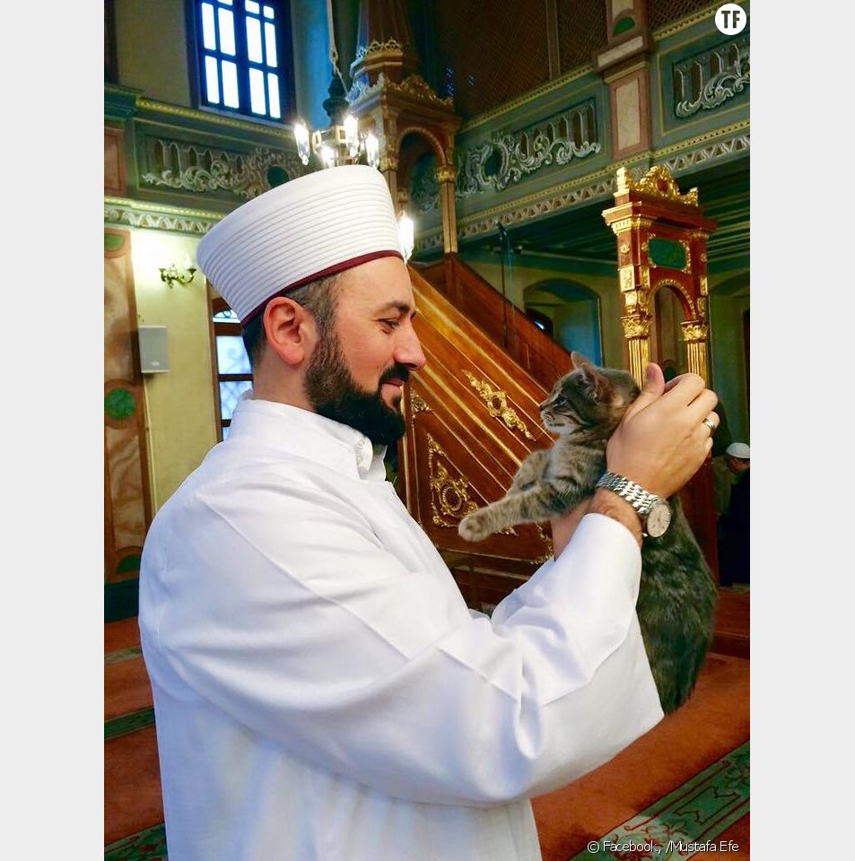 Un imam d'Istanbul ouvre sa mosquée aux chats errants - Terrafemina