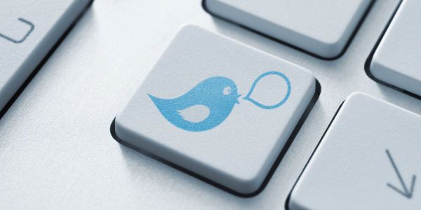 Cinq bonnes raisons d'être un patron qui tweete - Terrafemina