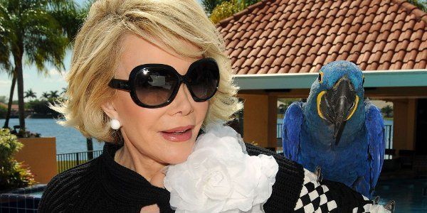 Mort de Joan Rivers : les 15 phrases les plus cultes de madame Fashion ...