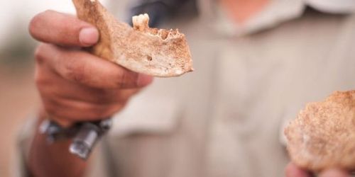 Un charnier avec 1700 corps retrouvé à Tripoli - Terrafemina