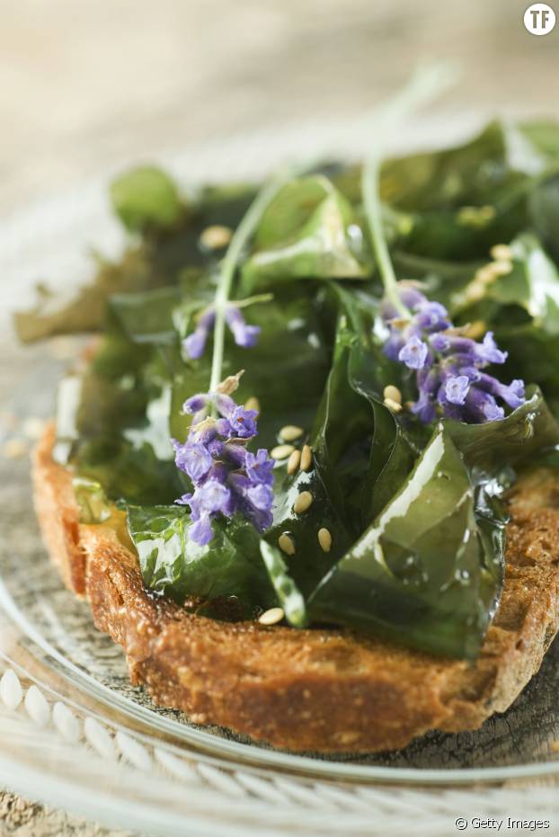 Pourquoi nous devrions toutes consommer des algues - Terrafemina