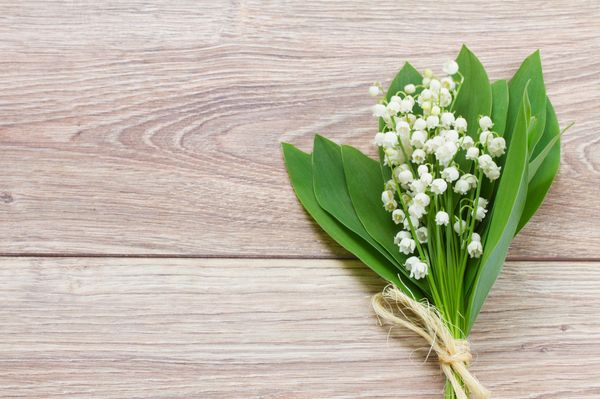 1er mai : origines et histoire de la fête du muguet et du travail ...