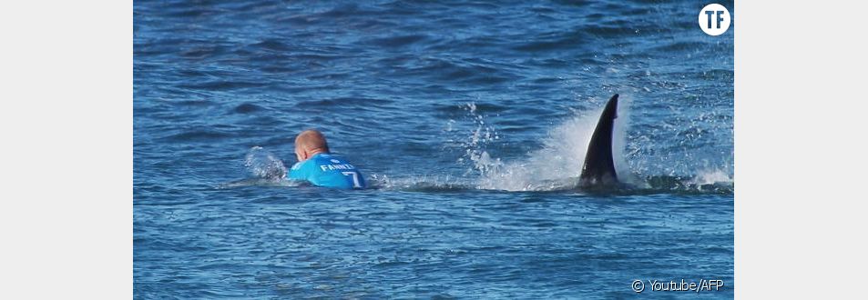 Un surfeur australien attaqué par un requin en direct : la vidéo ...