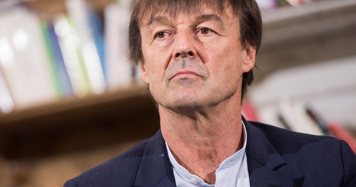 L'affaire Nicolas Hulot classée sans suite : faudrait-il allonger le délai de prescription ...