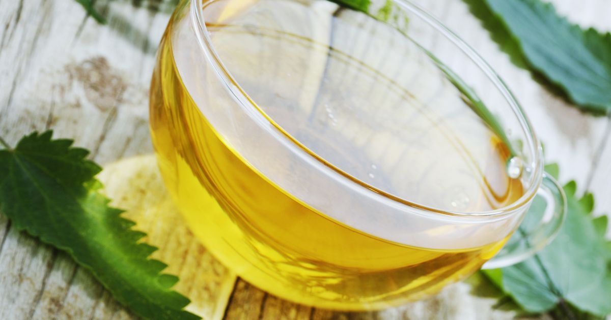 La recette du thé à l'ortie pour protéger les cheveux de l'hiver ...