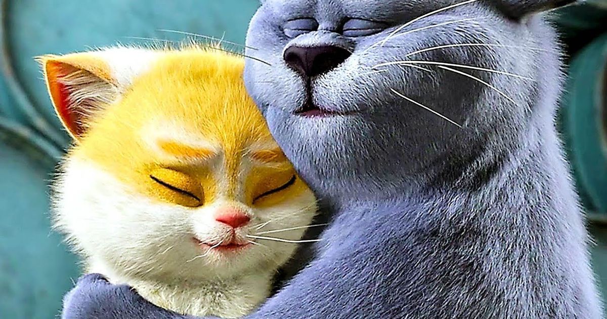 5 films d'animation adorables pour les amoureux des chats - Terrafemina