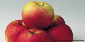 Recette de crêpes : la délicieuse recette des crêpes tarte aux pommes ...