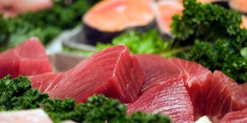 Comment choisir son poisson selon les saisons ? - Terrafemina