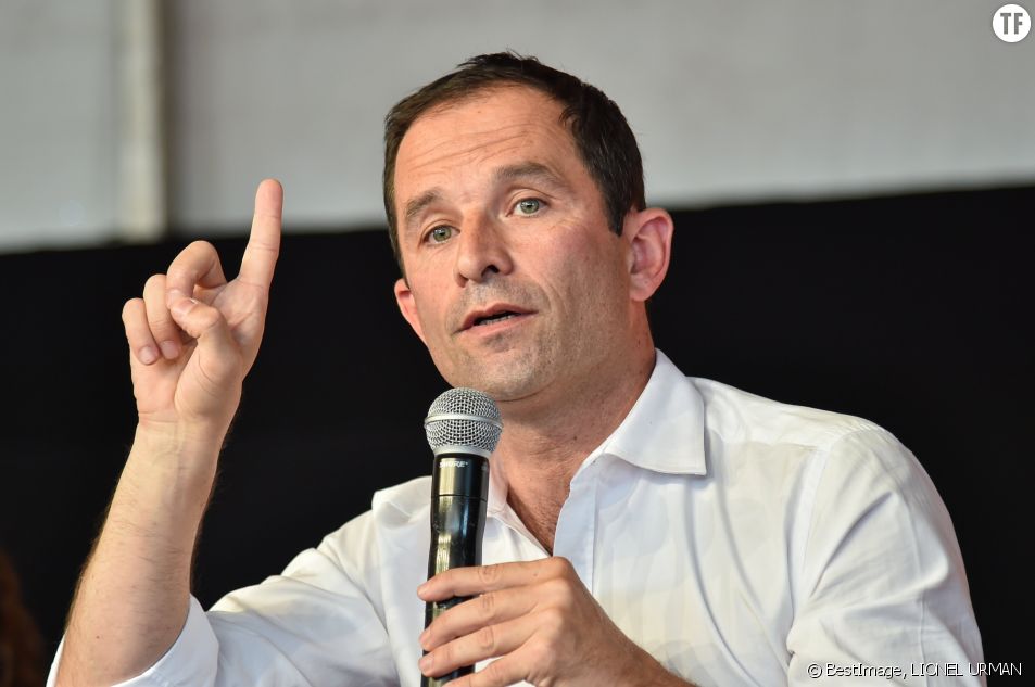 L'émission politique : revoir l'émission avec Benoît Hamon sur France 2 ...