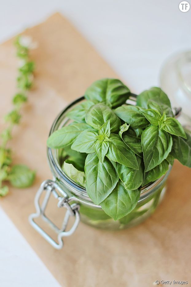 10 aliments qui se portent mieux en dehors du réfrigérateur - Terrafemina