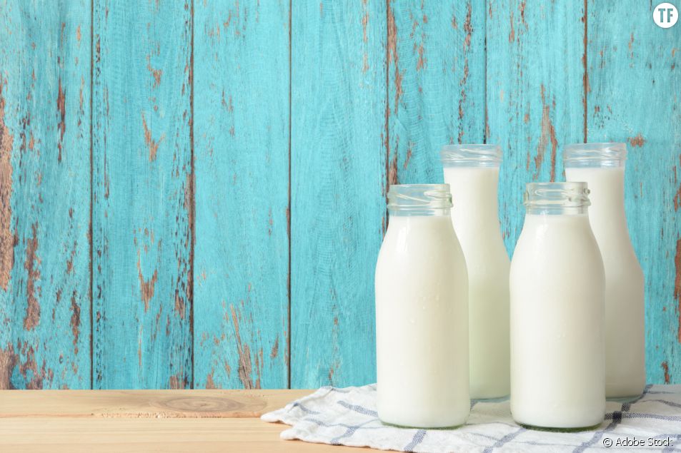 Lait végétal : quels sont les meilleurs laits végétaux ? - Terrafemina