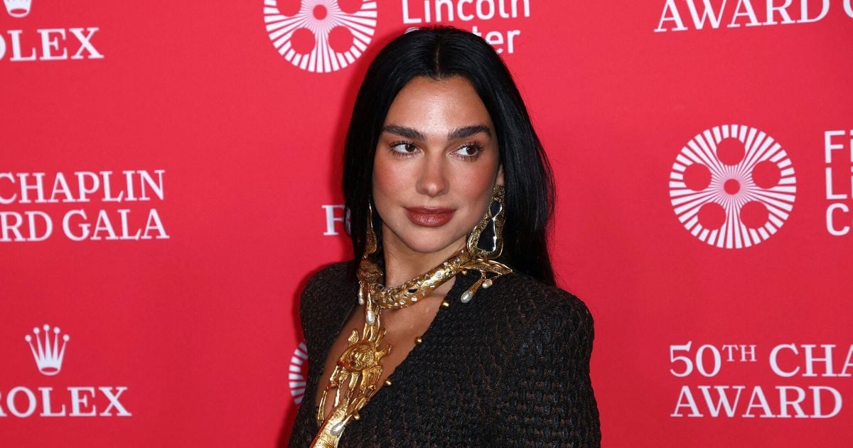 “Si canon”, “iconique" : Dua Lipa pose en micro-bikini et dévoile ses ...